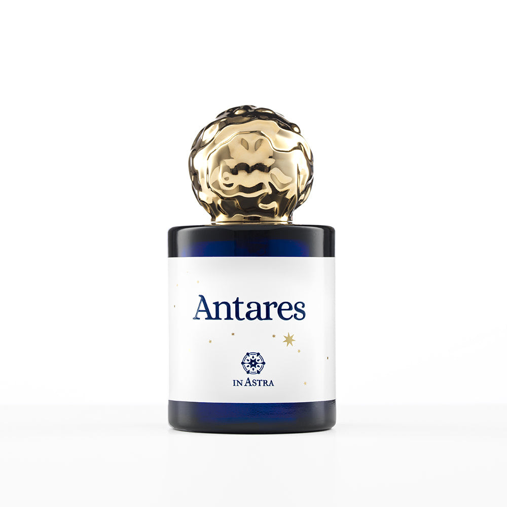 Antares – La Jetée